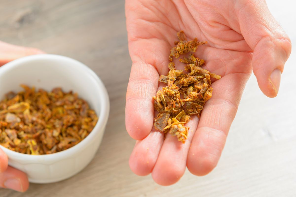Beekeepers' Best Kept Secret: The Surprising Benefits of Propolis • My ...